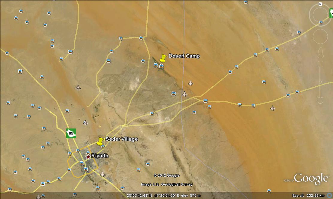 A year in the desert