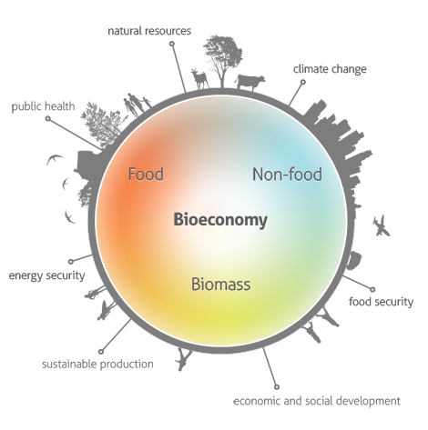 Soul-searching Sustainability: The Global Race towards the Emerging ...