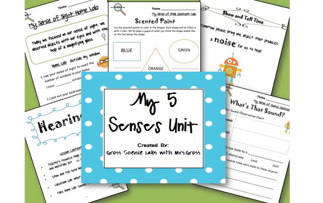 5 Senses Unit and Labs