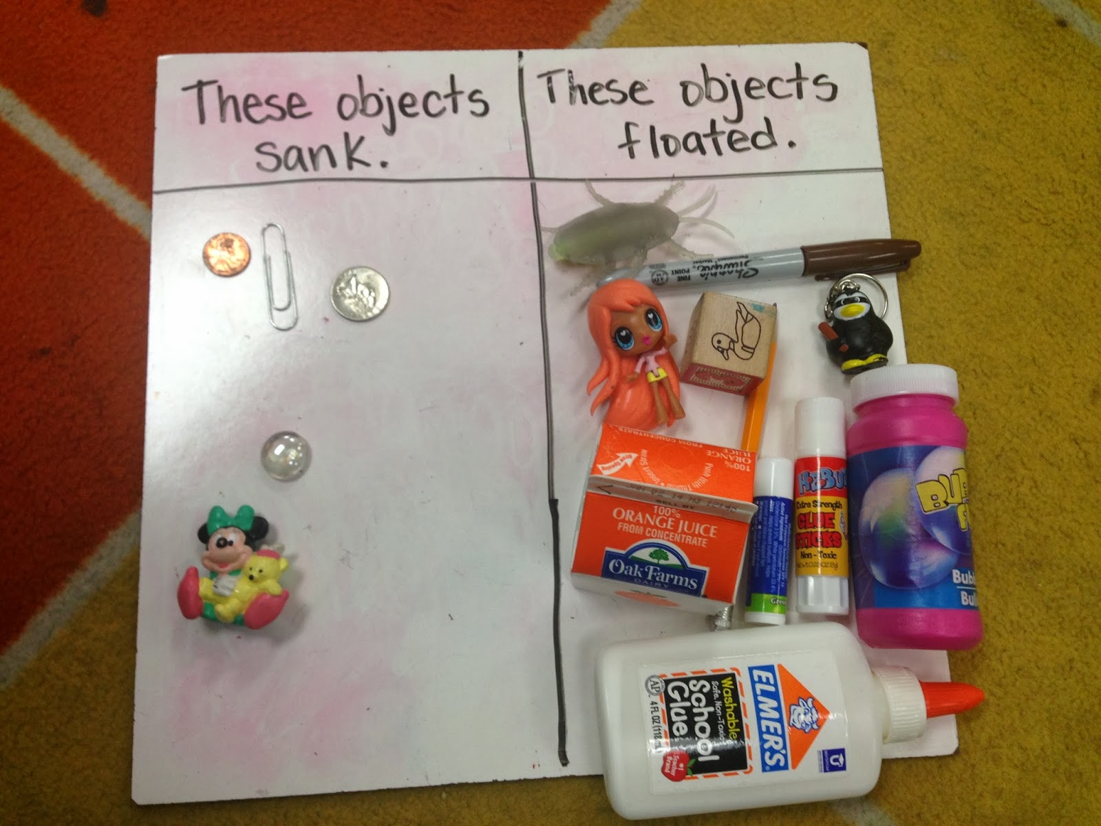 Science Projects Ideas 5th Grade