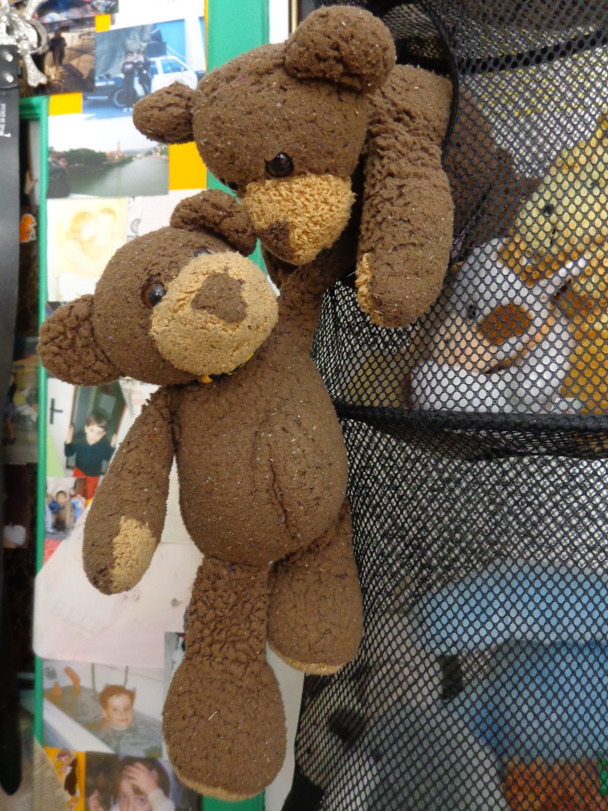 Sogni di Ragni e Pizza Mannara: Due orsetti di peluches, brutti come il ...