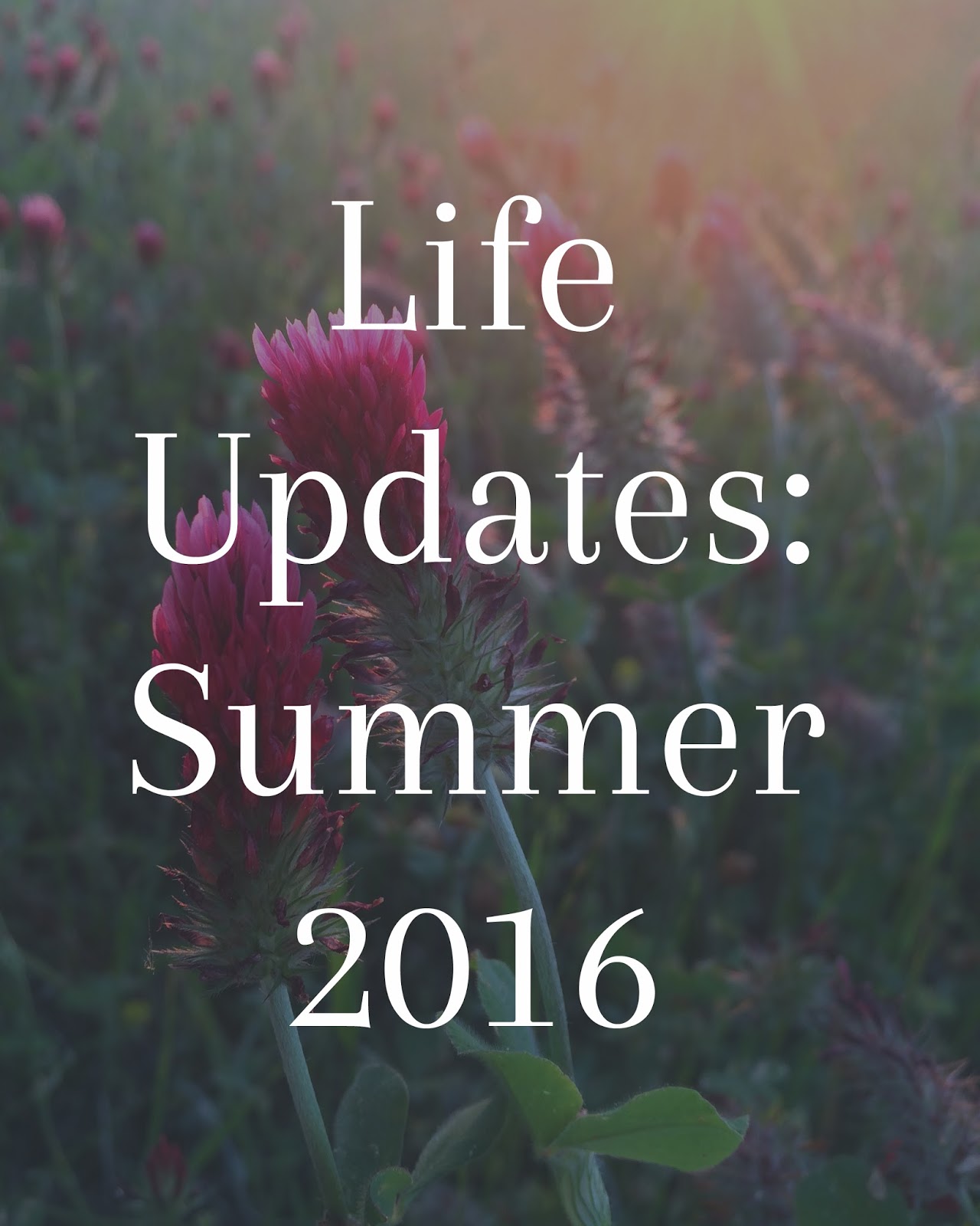 Alone with my tea: Updates