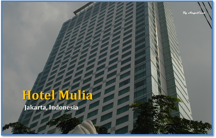 AngelCent: Hotel Mulia - Jakarta