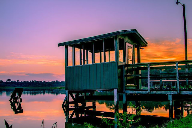 Forgotten Georgia: Grassy Pond in Lake Park