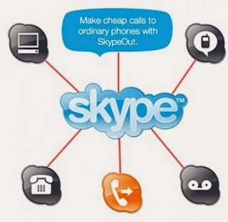 Science online: The advantages and disadvantages of using Skype