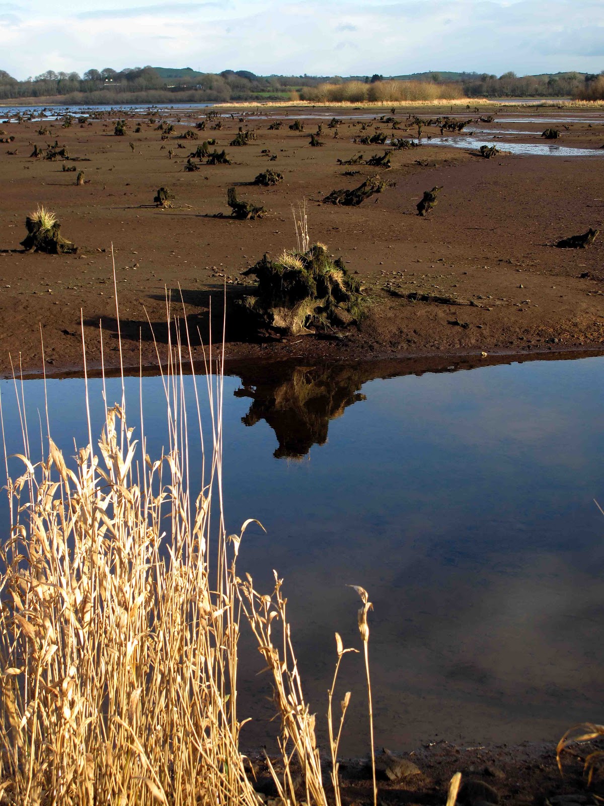 The Many Attractions of Driving the R584