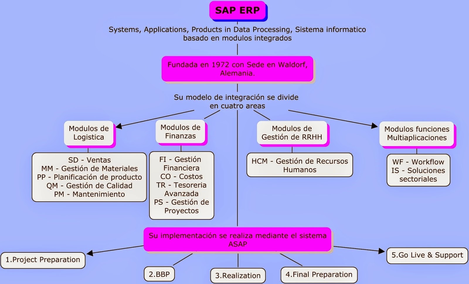 SISTEMAS DE INFORMACION: MAPA SAP