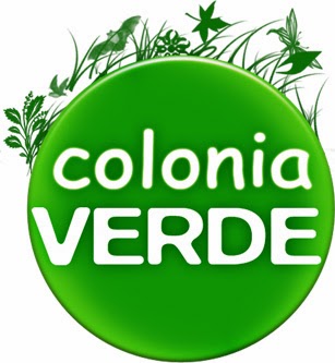 Colonia Verde: Proyectos