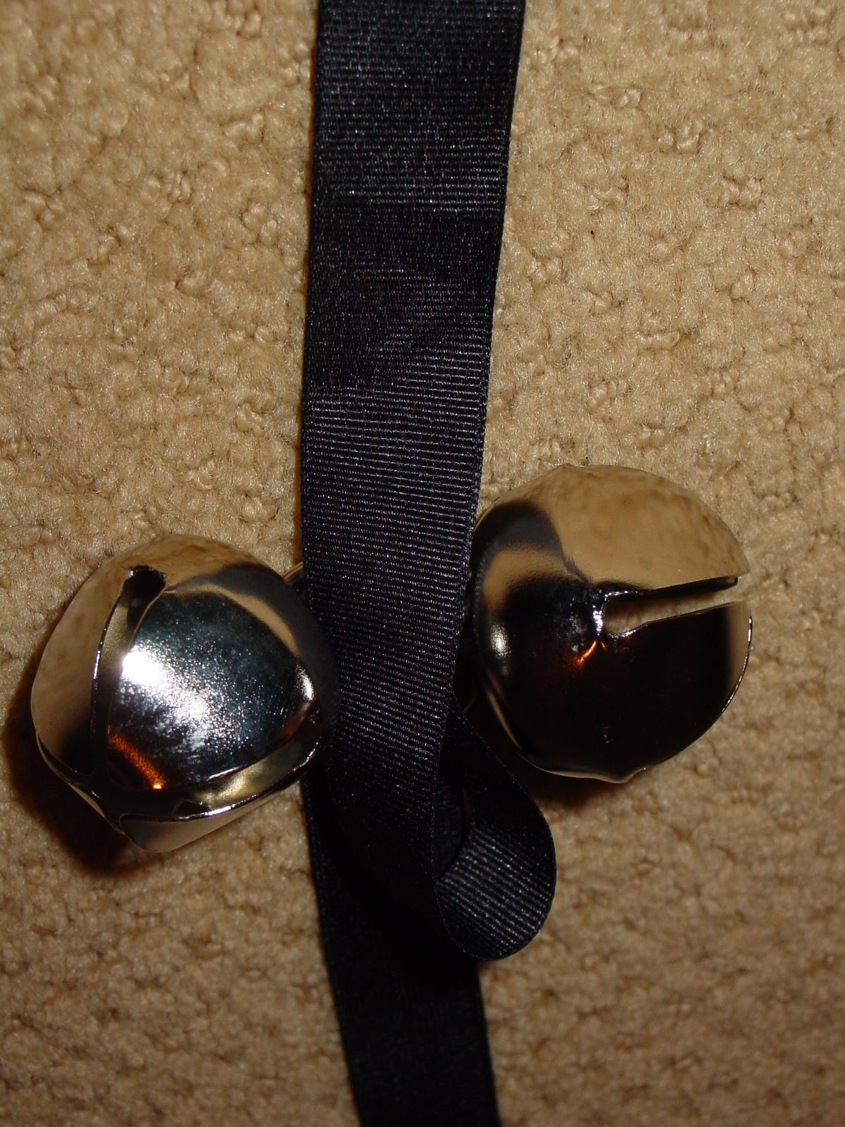 How to Bell Train Your Dog to Go Outside