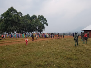 JOURNAL MINEMBWE/ MINEMBWE FREE PRESS: THOUSANDS of COWS of ...