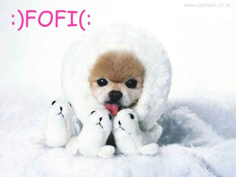 :)FOFI(:: GATOS FOFI