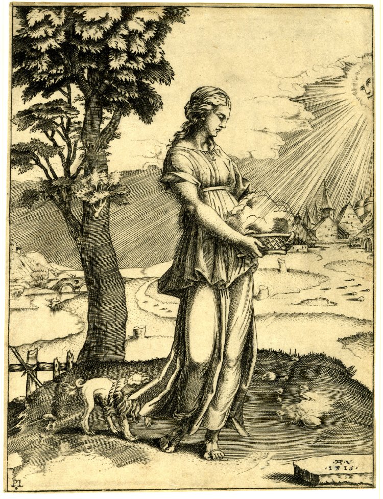 Spencer Alley: Twelve Sibyls