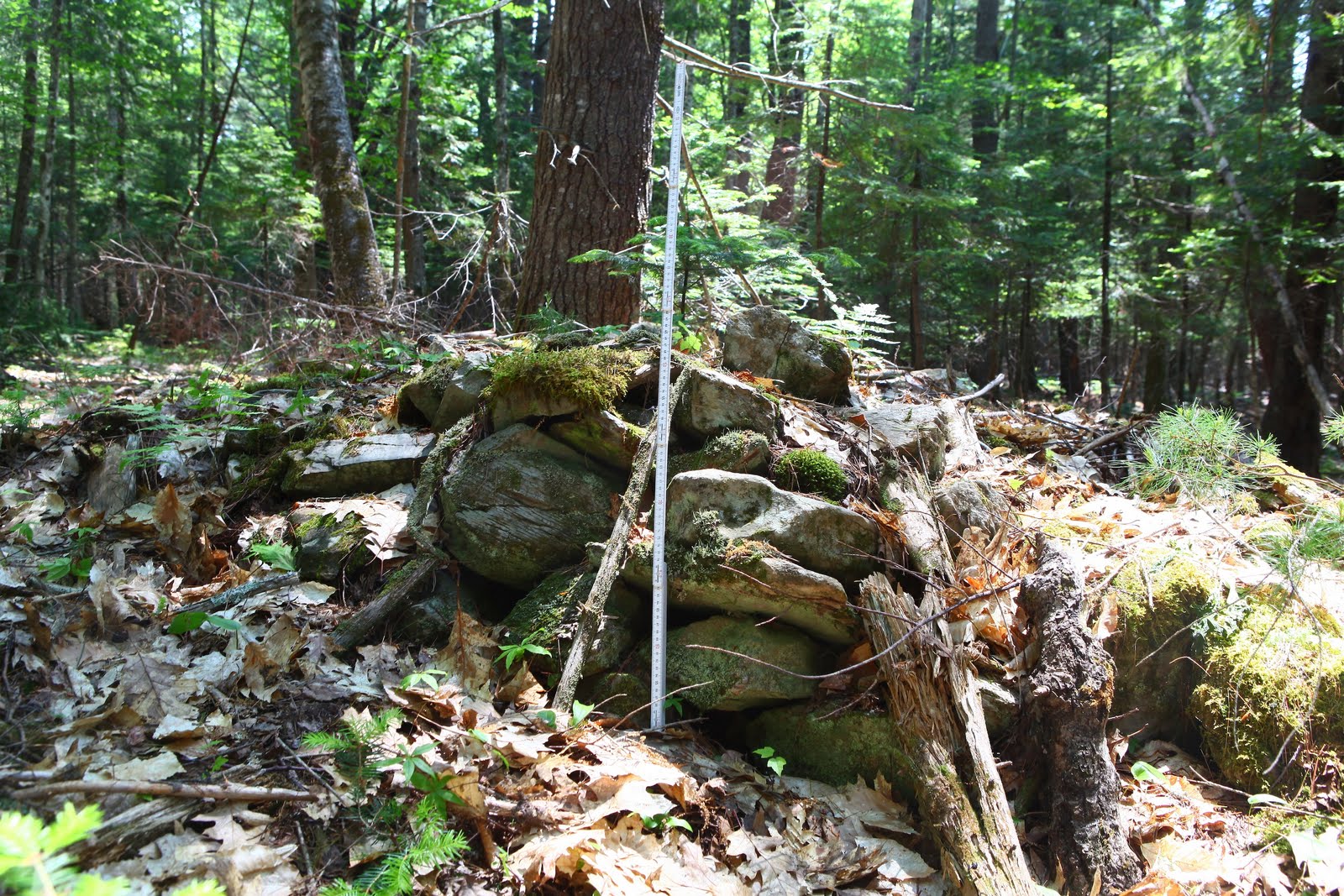 Hirundo Wildlife Refuge: Hirundo Stone Structures