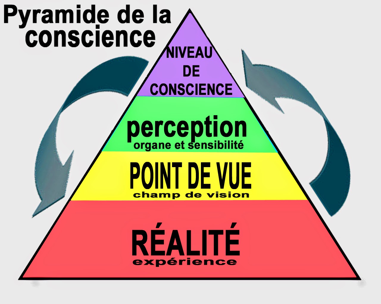 COACHING : PERCEPTION DE LA REALITE ET SYSTEME DE REFERENCE PERSONNEL