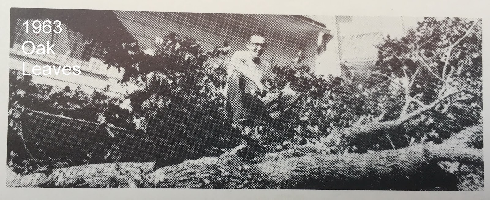 W I L D C A T V I L L E: COLUMBUS DAY STORM OCT. 12, 1962, AFTERMATH IN ...