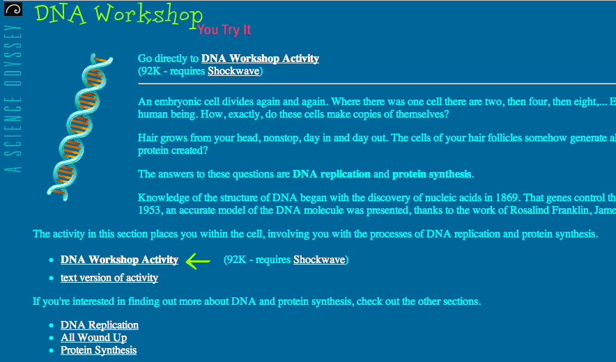 EC Honors Biology: Good DNA Sites to visit