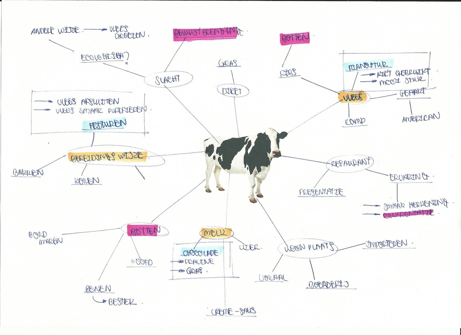Food for design: Rund: n.4: Koe mindmap