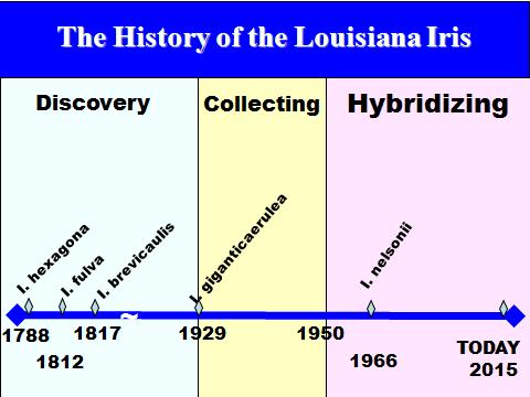 Louisiana History Timeline