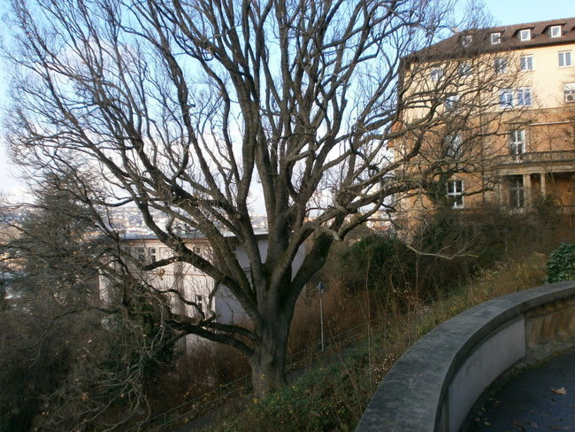 Wege in der Region Stuttgart: Der Eugensplatz in Stuttgart-Mitte mit ...