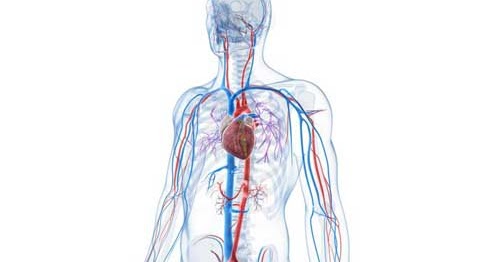 Ida Nadi | Hindu Blog