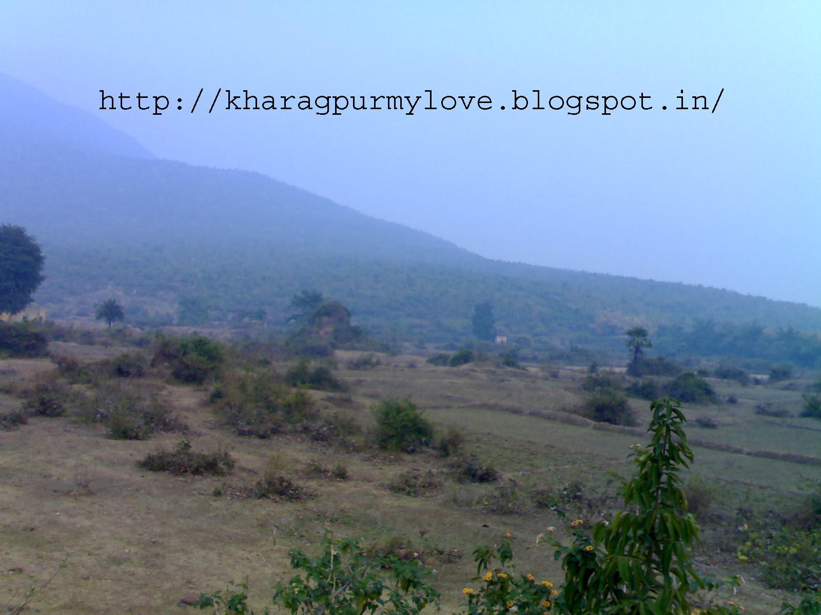 kharagpurmylove: Boronti, Muradi and Bero: Untrap natural habitat from ...