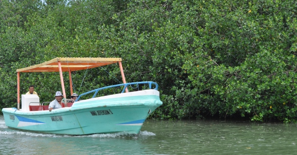 Los Manglares de Tumbes: LOS MANGLARES DE TUMBES