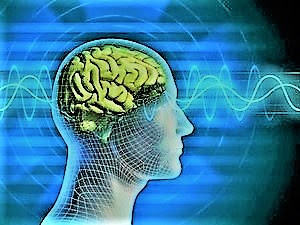 What is bioelectricity in science