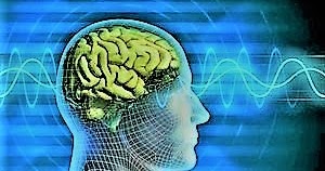 What is bioelectricity in science