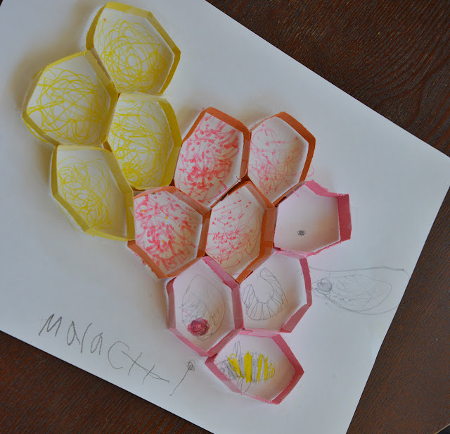 A school of fish: Beehives, Polygons, and Comb Construction Project