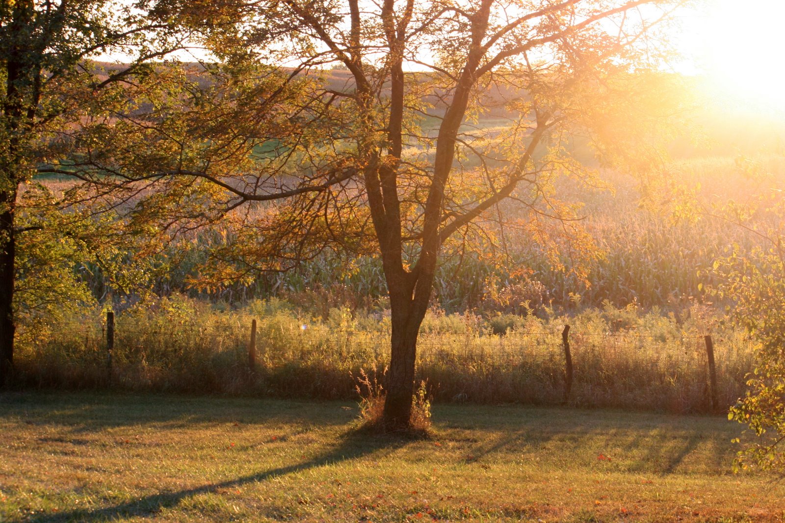 PhotoZmom's Moments: Beautiful Autumn Evening in Iowa