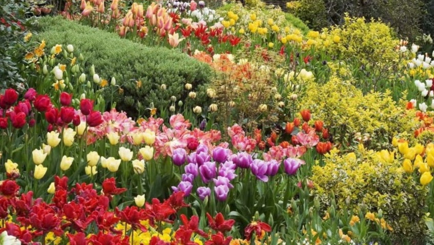 Angélica Italia: LOS MAS BELLOS JARDINES DEL MUNDO..HD