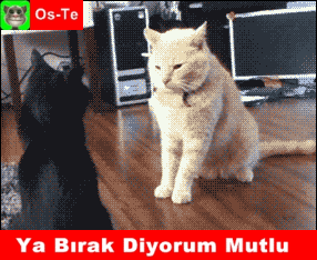 incii caps: Ocak 2013