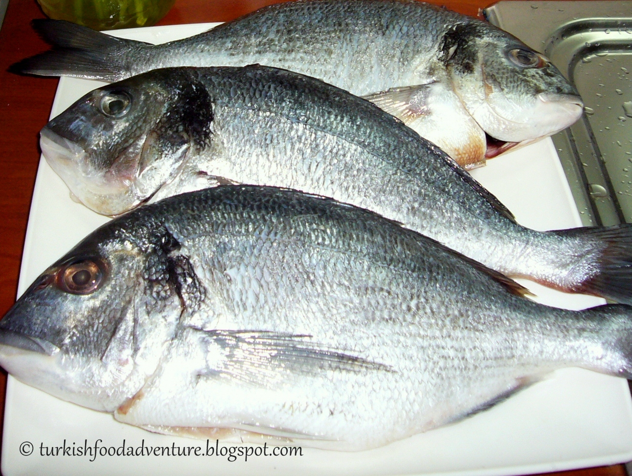 Turkish Food Adventure: The Common Fish and Other Seafoods Sold in ...