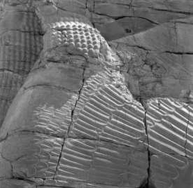 Los Grandes Fotografos: Alfredo Testoni (1919-2003)