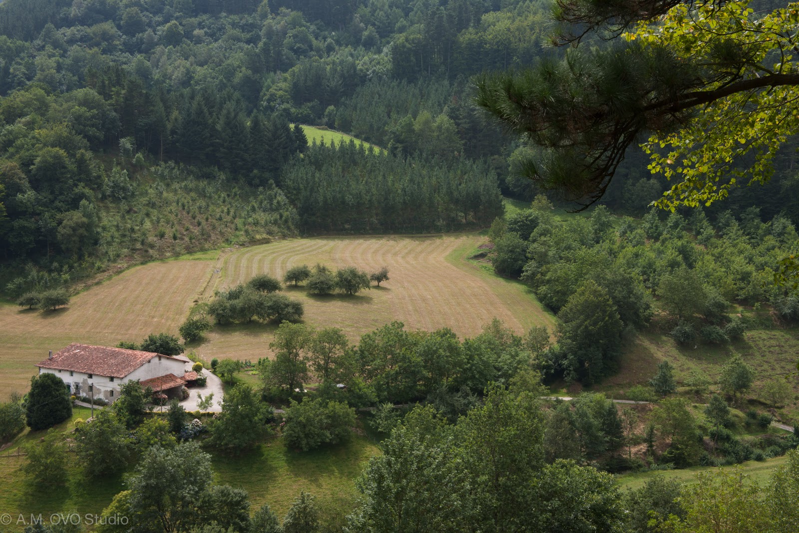 The Spotting Eye: Rural Spain: Alkiza, Gipuzkoa Euskadi
