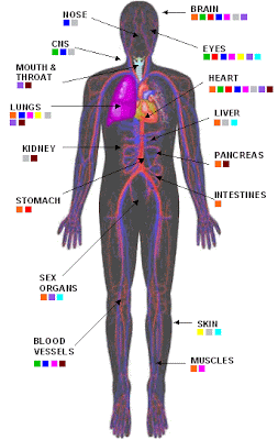 Eat Well Stay Healthy: Cleansing Your Body of Toxic Build-up