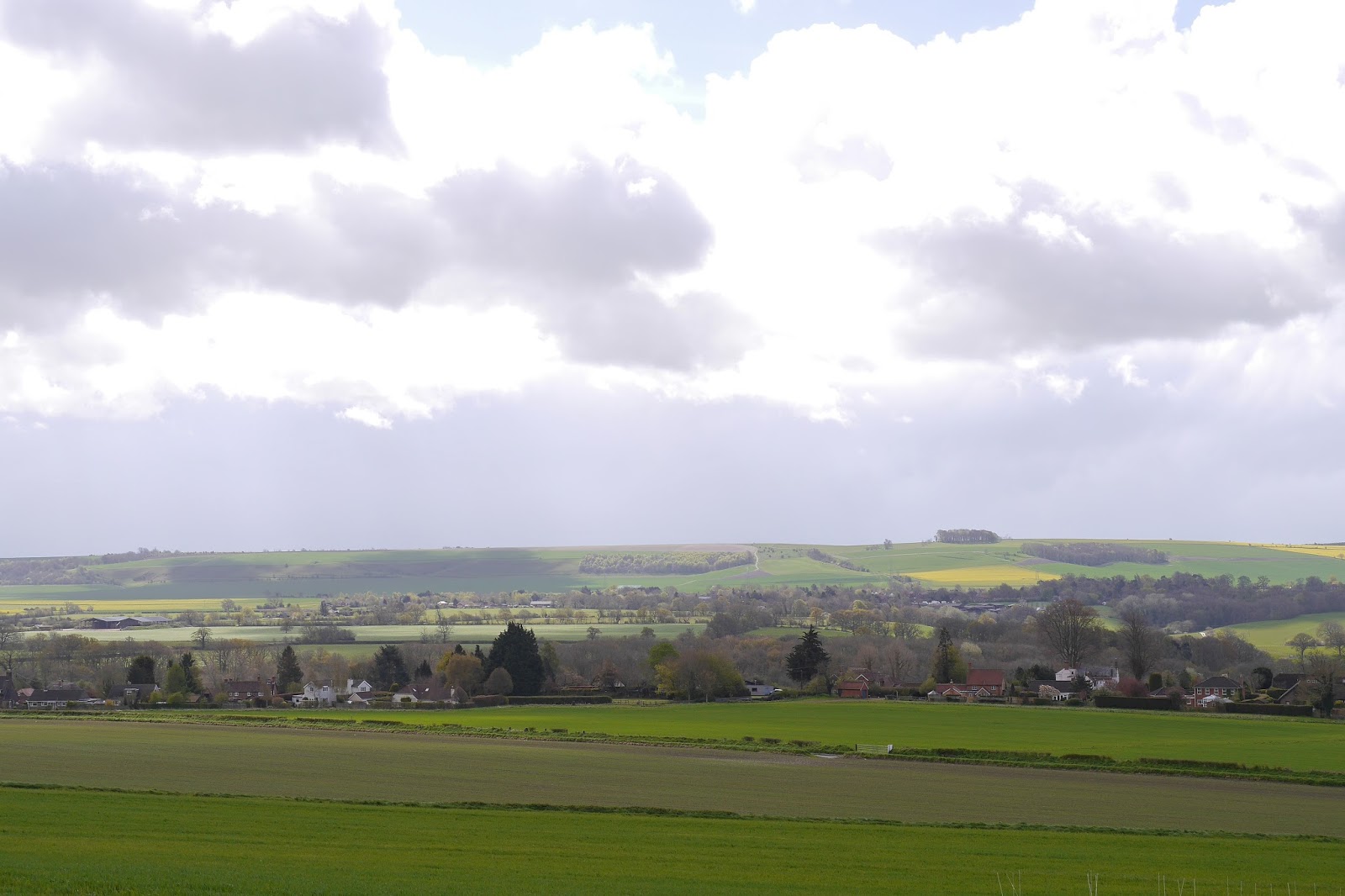 Walking in the country: Etchilhampton Hill to Market Lavington (Wessex ...