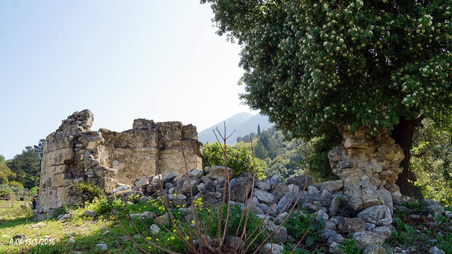 Biodiversity of Cyprus by NGO Protection of the Natural Heritage and ...