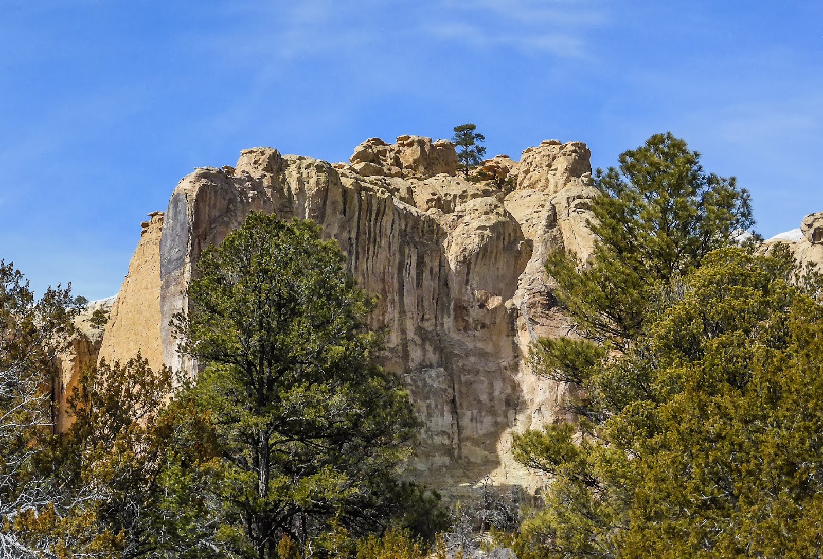 cruisingat60: El Morro, part 1