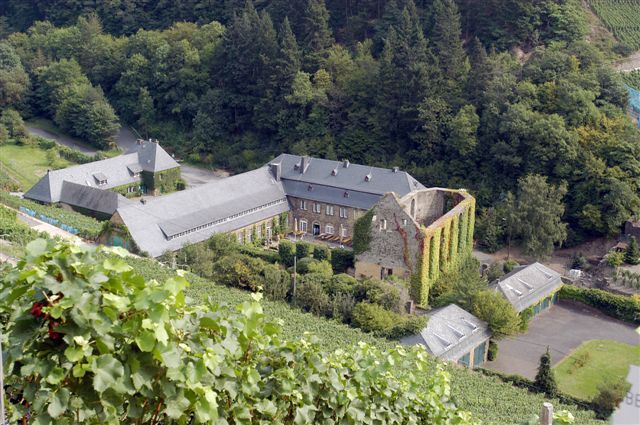 Wein, Winzersekt, Champagner. Bestellen direkt beim Winzer. Buch ...