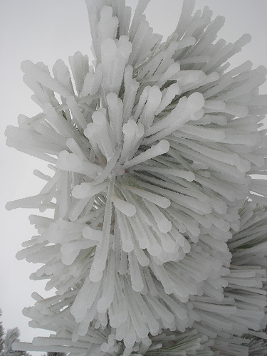 Amazing Ice Formations: Sculpted By Mother Nature | Most Unbelievable ...