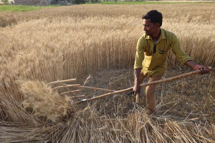 Scythe Connected: Sowing seeds for a scythe revolution