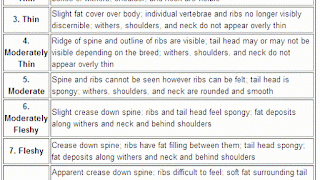 Henneke horse body condition scoring system