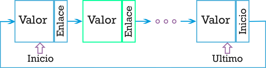 Estructura de Datos : Listas Circulares En Java