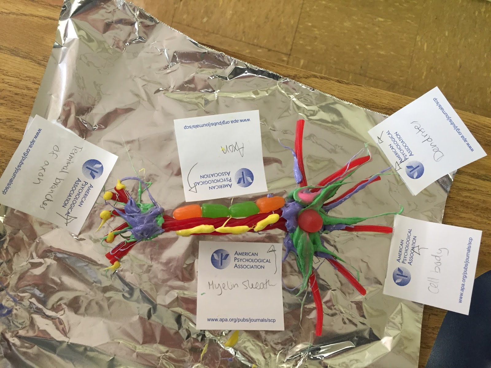 BD PSYCHOLOGY CLASS 2015-2016: Candy Neuron Project
