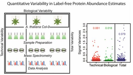 News in Proteomics Research: Analysis of variability in label free quan ...