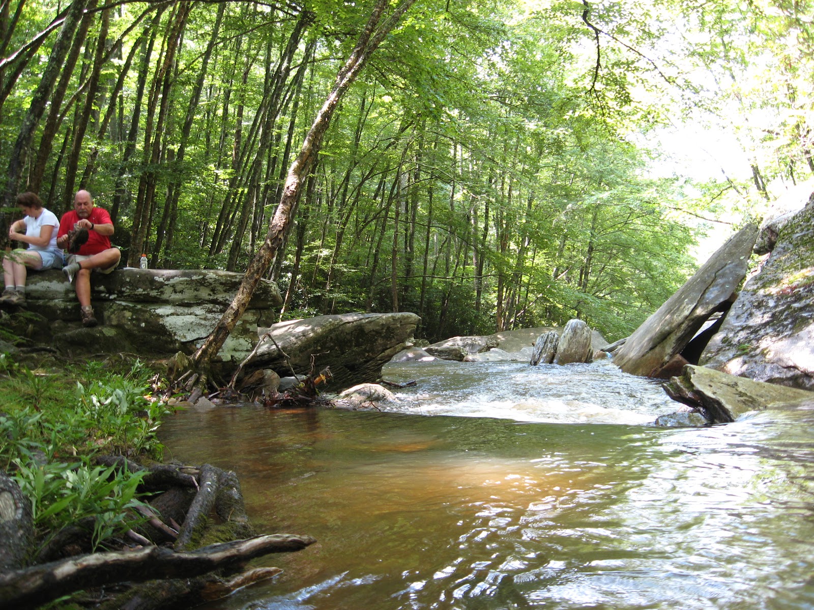 greenmon's folly: July 31 Boone Fork Loop