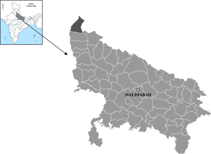 Majestic Malihabad: A Land of Legends