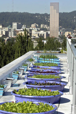 Savvy Style, Mindful Home: Get Your Grow On