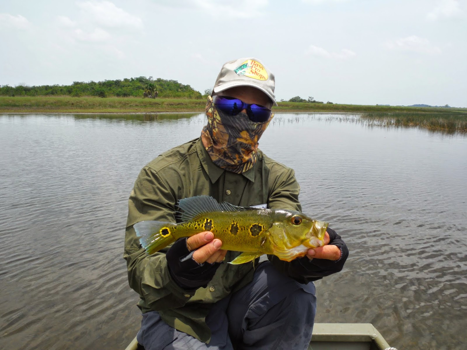 Espacio de Pesca: Pesca de Pavon o Tucunare en Laguna Rio Meta, Puerto ...
